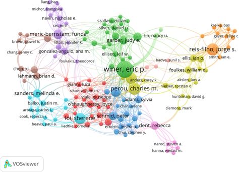 Cooperation Between Authors Contributing To The Top 100 Cited Articles