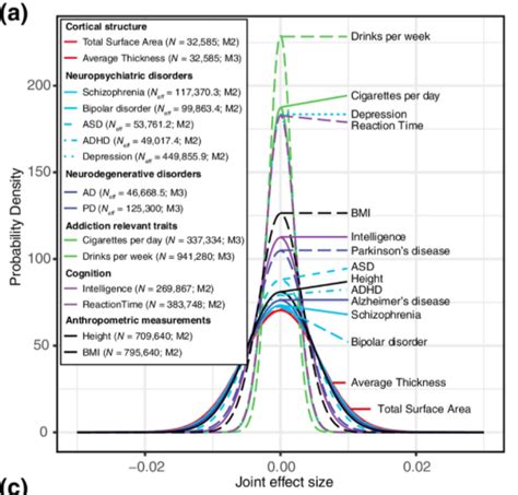 Paper Published In Human Brain Mapping On Genetic Architecture Of Brain
