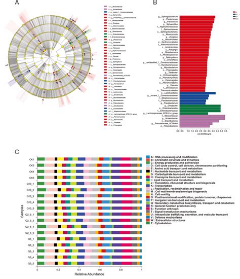 Regulation Of Bacterial Metabolic Pathways By Quercetin A Lda Download Scientific Diagram