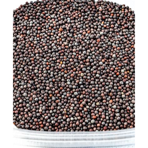 Brown Mustard Seeds Certified Organic 100g Rare Organics