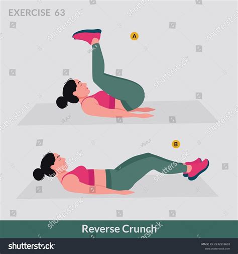 Reverse Crunch Exercise Woman Workout Fitness Stock Vector Royalty