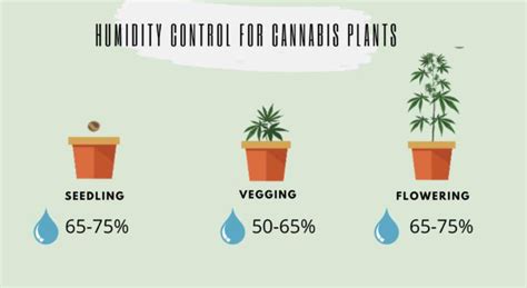 Is This An Accurate Scale To Go By For Humidity Levels R GrowBuddy