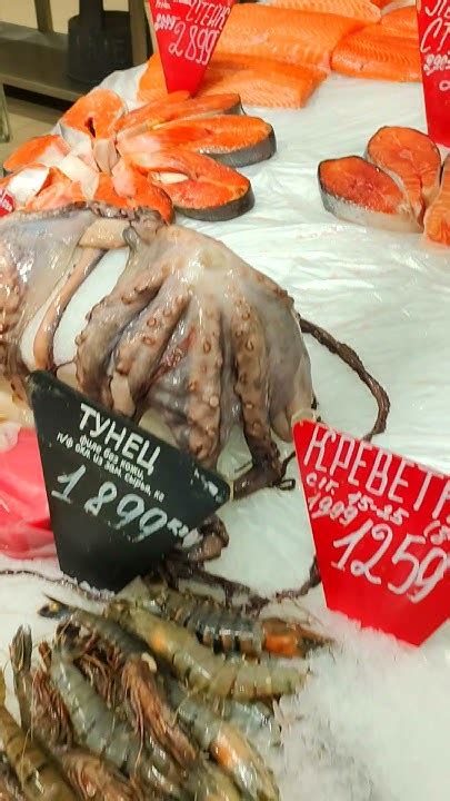 Мытищи ТРЦ Июнь Окей Рыба 430 Цены #shorts Fish Prices 魚 मछली 물고기 سمكة ...
