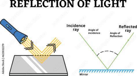 Reflection Of Light Ray The Reflection Law Flat Mirror Normal Surface