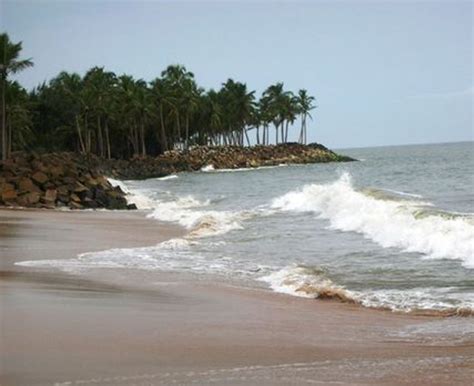 Karimeen Hut Resort Holiday Backwater Resorts In Thrissur Kerala