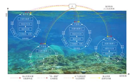南海海洋所海洋牧场生态系统研究取得新进展 中国科学院广州分院