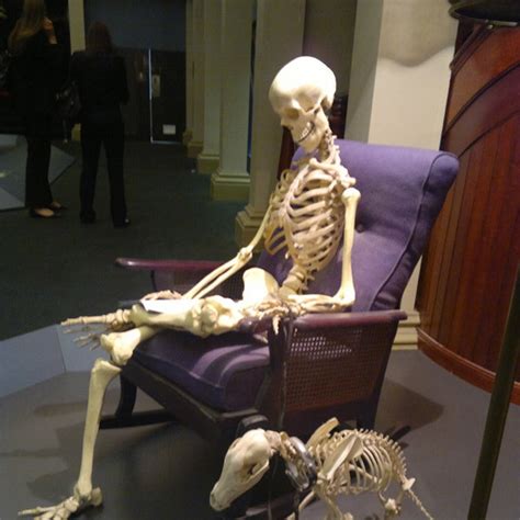 Esperando Por Voce Meme Esqueleto Hacer Meme De Esqueleto Esperando