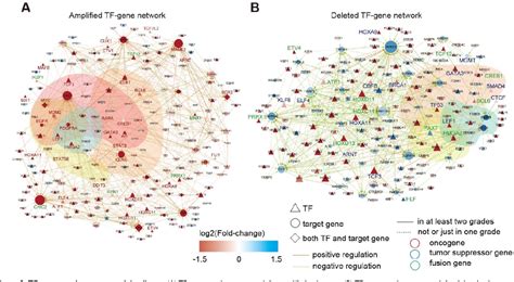 Figure 5 From Systematic Analysis Of Enhancer Regulatory Circuit