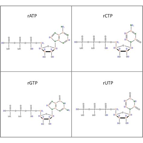 Set Of 4 Ribonucleoside 5 Triphosphates Silantes