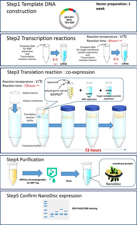 Nanodisc Bd Kit ｜ Cellfree Sciences