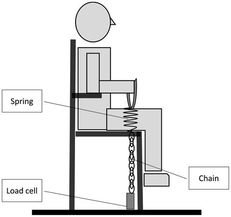 Schematic Illustration Of The Experimental Setup Download Scientific