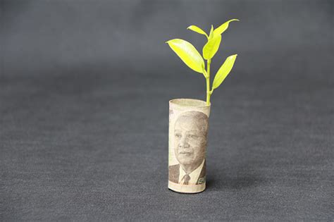 압 연된 지폐 돈 5 천 캄보디아 리엘 및 젊은 식물 어두운 회색 바닥과 배경으로 자라 Number 1000에 대한 스톡 사진