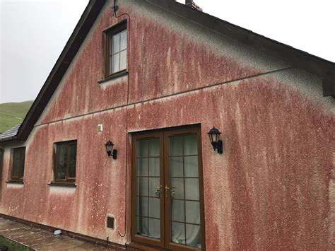 Roughcast Render Cleaning Fidelta