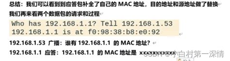 Wireshark简介和抓包原理及过程wirishark抓包原理怎么抓udp Csdn博客