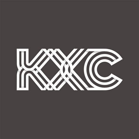 앱 개발 기초부터 실전까지 하나로 끝내는 Swift And Ios 마스터 클래스 강의 Kxcoding 인프런