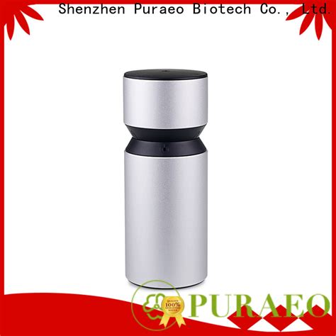 Best Usb Car Diffuser Supply Puraeo