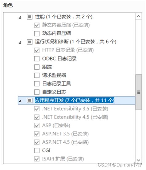 C进阶 Iis服务器发布aspiis发布 Csdn博客