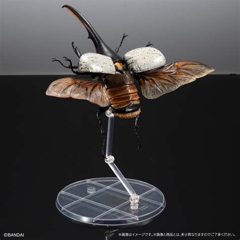 uper Toys全新現貨 萬代 日本PB 魂商店限定 生物大圖鑑 premium 赫克力士長戟大兜蟲 公仔 模型 蝦皮購物