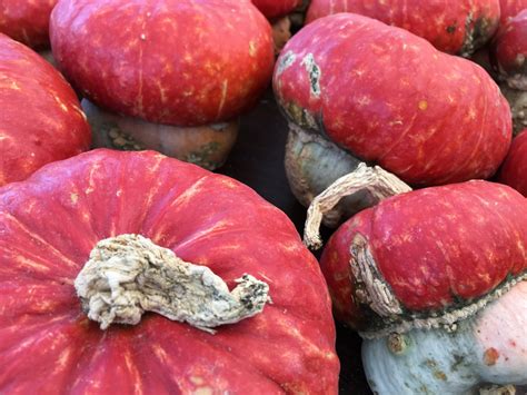 무료 이미지 과일 식품 생기게 하다 야채 꽃 피는 식물 육상 식물 보라색 망고 스틴 4160x2340 84403 무료 이미지 Pxhere