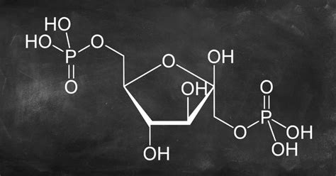 Fruttosio 16 Difosfato Energia Già Disponibile Sprintade