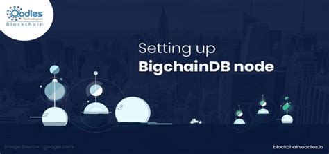 Bigchaindb Network A Compact Guide To Its Set Up Process