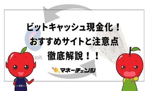 ビットキャッシュ詐欺にあったら即通報！返金不可なので事前に注意！ マネーチェンジ