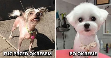 Przed okresem objawy jak rozpoznać i złagodzić objawy PMS styczeń