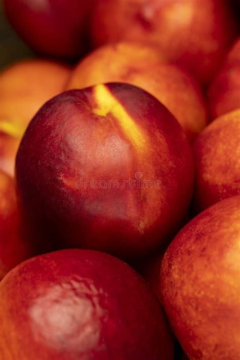 A Small Harvest Of Ripe Washed Nectarines Stock Image Image Of Sweet Summer 340678315