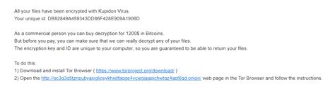 Kupidon Virus File Ransomware Removal Decryption Methods