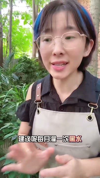 楼房养不好花，推荐使用土壤活化剂。爱生活爱养花 花卉绿植 种植小技巧 养护小知识 土壤活化剂 Youtube