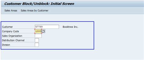 sap fico block customer