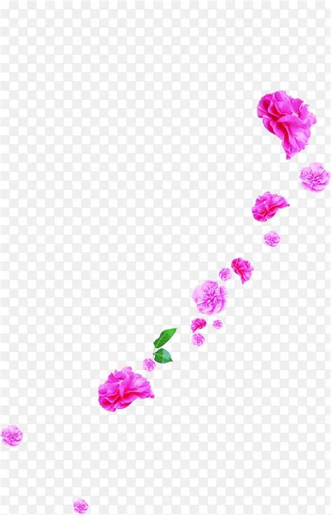Png Qonplndm
