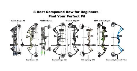 Top 9 Best Compound Bow For Beginners 2023
