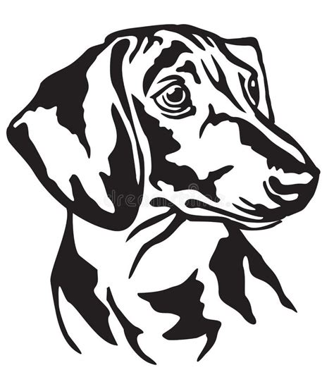 Dachshund Vector Stock Illustrations 12365 Dachshund Vector Stock