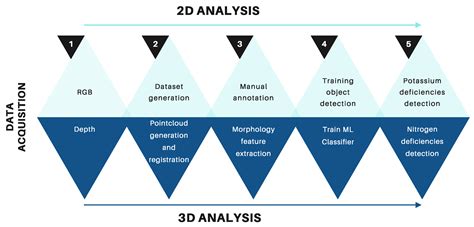 Nutritional Monitoring Of Rhodena Lettuce Via Neural Networks And Point Cloud Analysis