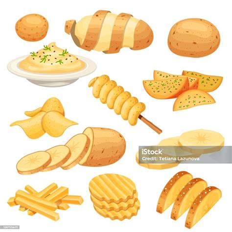 감자 요리 식사 장식 길거리 음식 및 간식 감자 튀김 소박한 매시 감자 칩 만화 슬라이스 감자 제품 벡터 세트 생감자에 대한 스톡 벡터 아트 및 기타 이미지 Istock