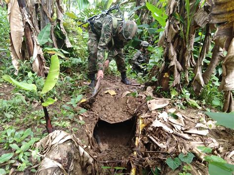 Así Cambió La Relación De Los Narcos Mexicanos Con Los Grupos