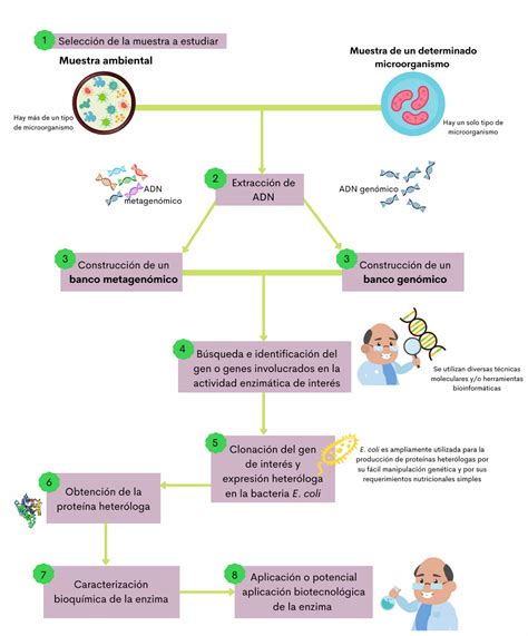 El océano fuente potencial de compuestos bioactivos enzimas