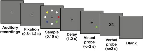 Frontiers Neural Activity Is Dynamically Modulated By Memory Load During The Maintenance Of