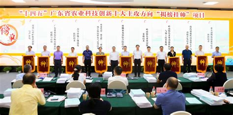 广东这个研究团队获农业科技创新“揭榜挂帅”项目第一名