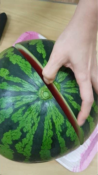 Short 10키로 수박 자르기🍉 Youtube