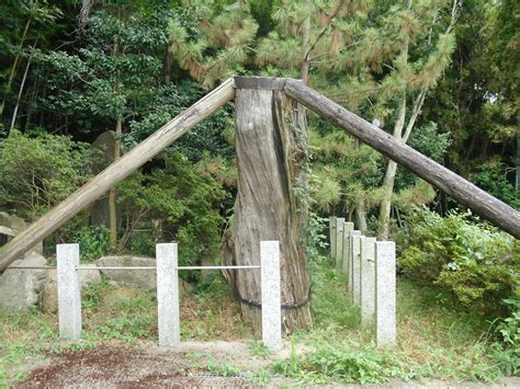 ブラ高野シリーズ源義朝 徒然の記