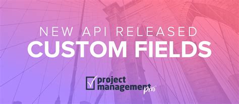 New API Available For Custom Fields Project Management Pros