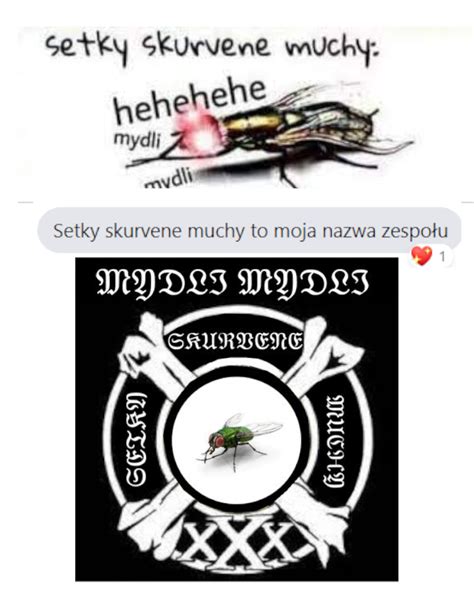 Mydli Mydli R Polska Wpz