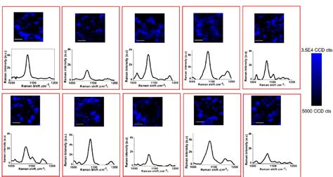 Figure 4 From Parallel Profiling Of Cancer Cells And Proteins Using A