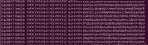 Local Cluster Private Node Drops Transactions While Solana Test Validator Does Not Solana