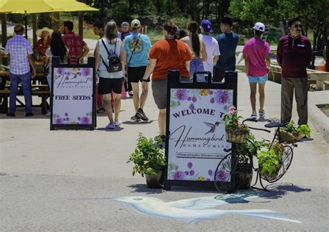 Free Hummingbird Homecoming Event At Natural Bridge Caverns Natural