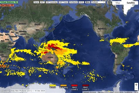 The Worlds Fourth Coral Bleaching Event How Its Affecting Raja Ampat