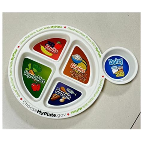 Portion Plate Very Exciting Things