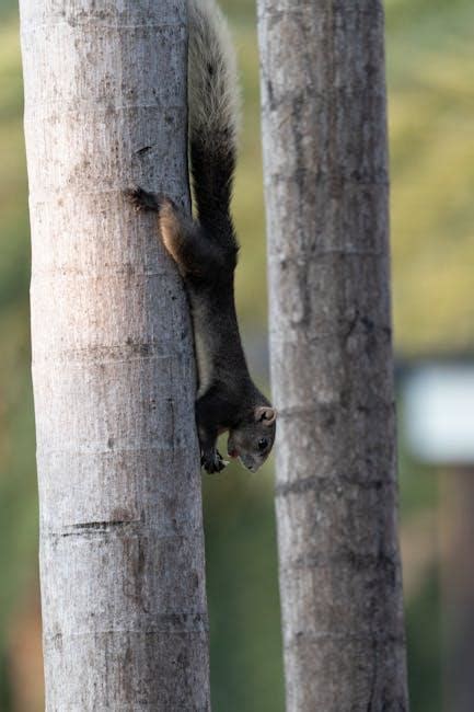 7 Essential Steps To Successfully Implement Agile Project Management